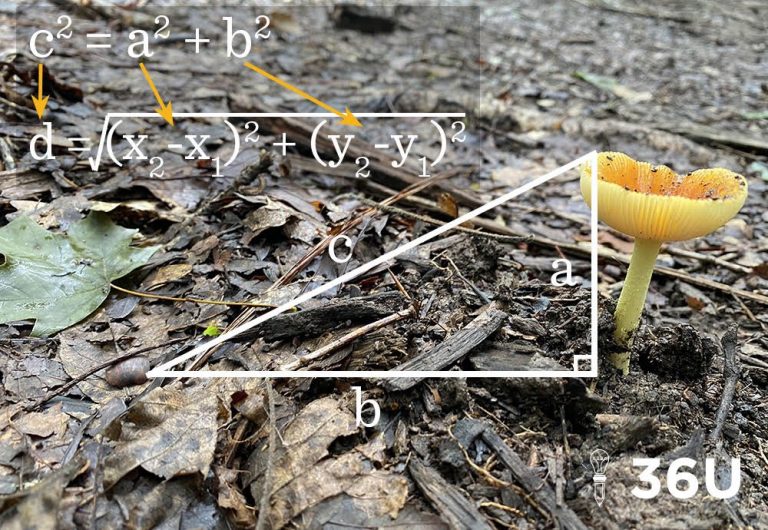 36 University » 36U ACT Tips