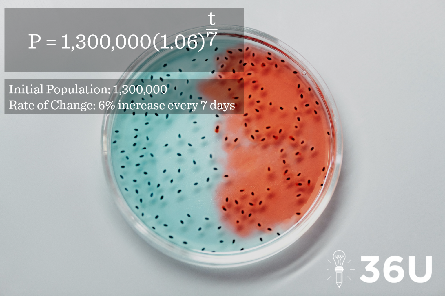 36 University » 36U ACT Tips